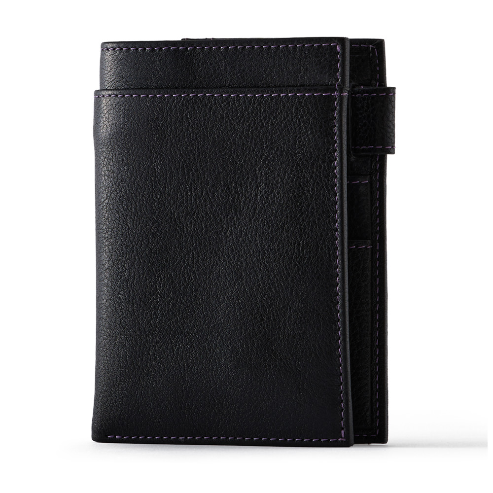 ナトゥーラ MICRO5 11mm 名刺フォン [2161] システム手帳商品一覧 ASHFORD